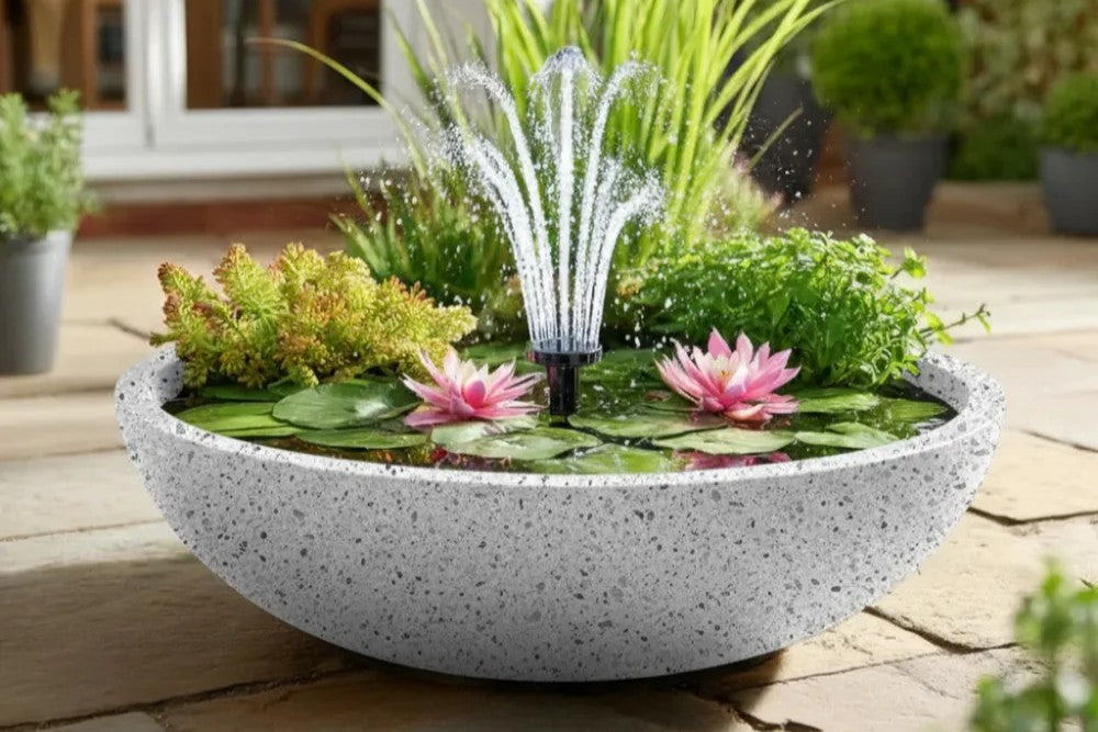 Pond in a Pot – Create a Mini Water Garden in Minutes – Planters.co.uk