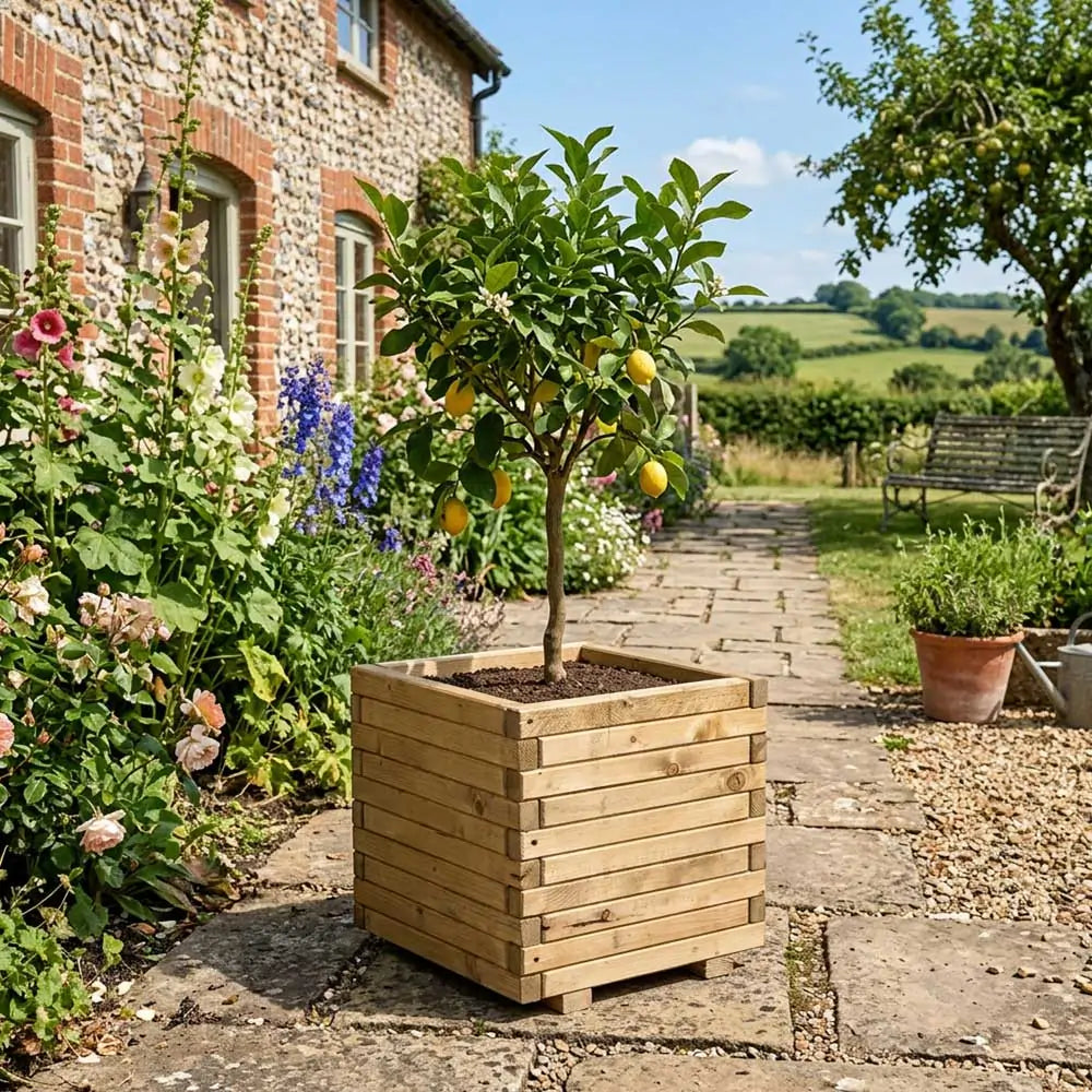 Wooden Pine Raised Cube Planter – Planters.co.uk