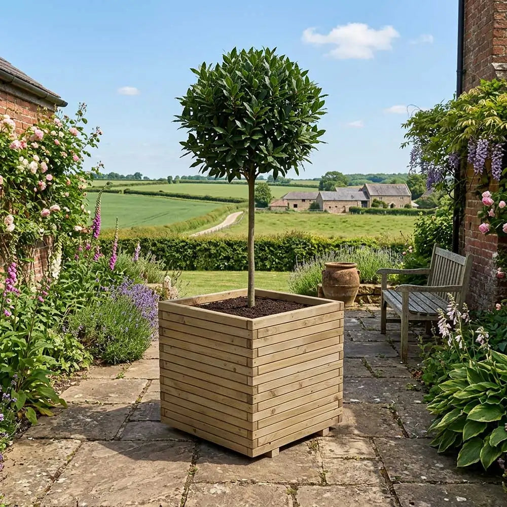 Wooden Pine Raised Cube Planter – Planters.co.uk