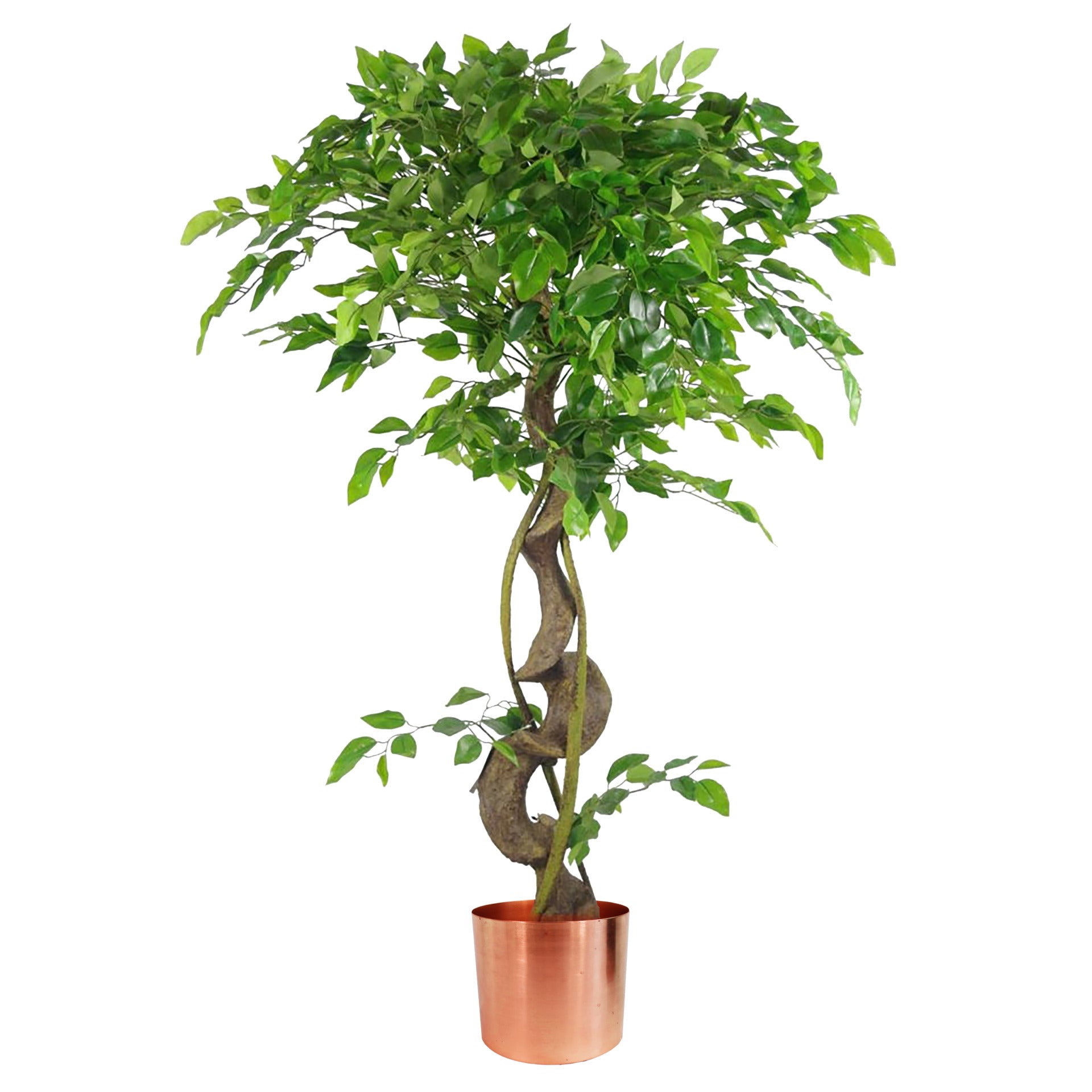 120cm Twisted Trunk Artificial Japanese Fruticosa Style Ficus Tree ...