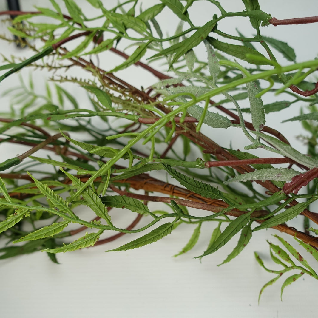 Willow Trees for Sale | Weeping, Dwarf & Potted Salix – Planters.co.uk