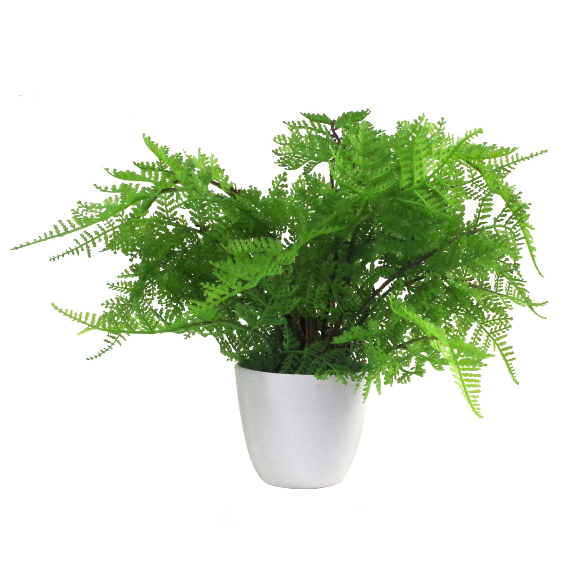 30cm Artificial Potted Lady Fern (Athyrium Filix-Femina) – Planters.co.uk